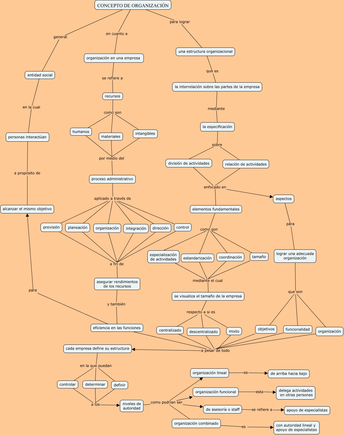 concepto de organizacion